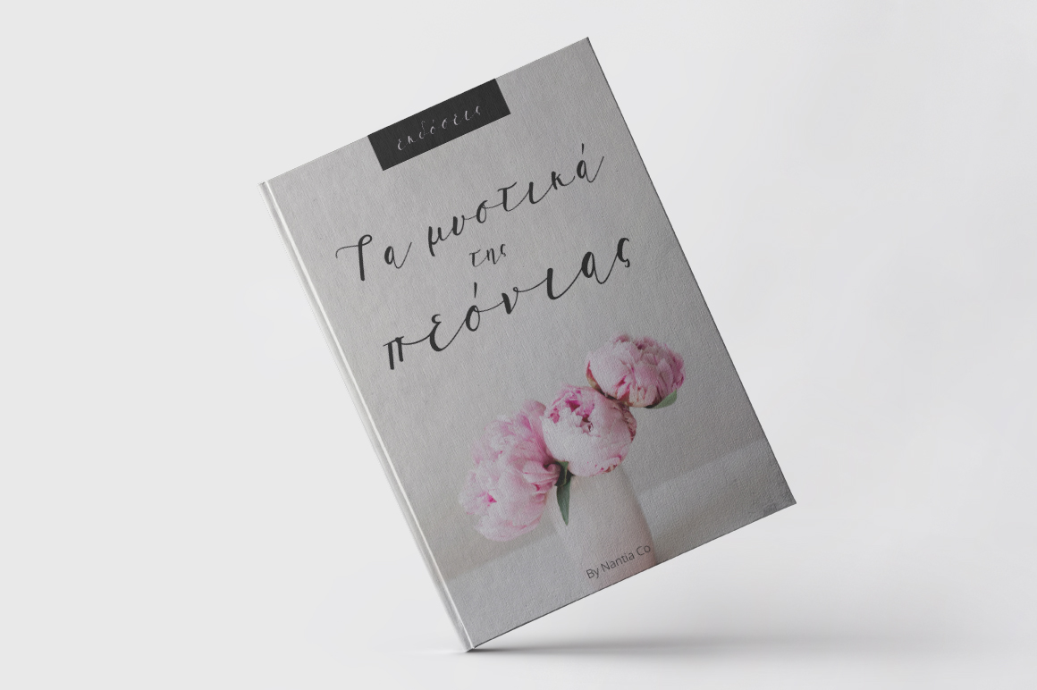 Lil'Baby Script Font by nantia | Font Bundles