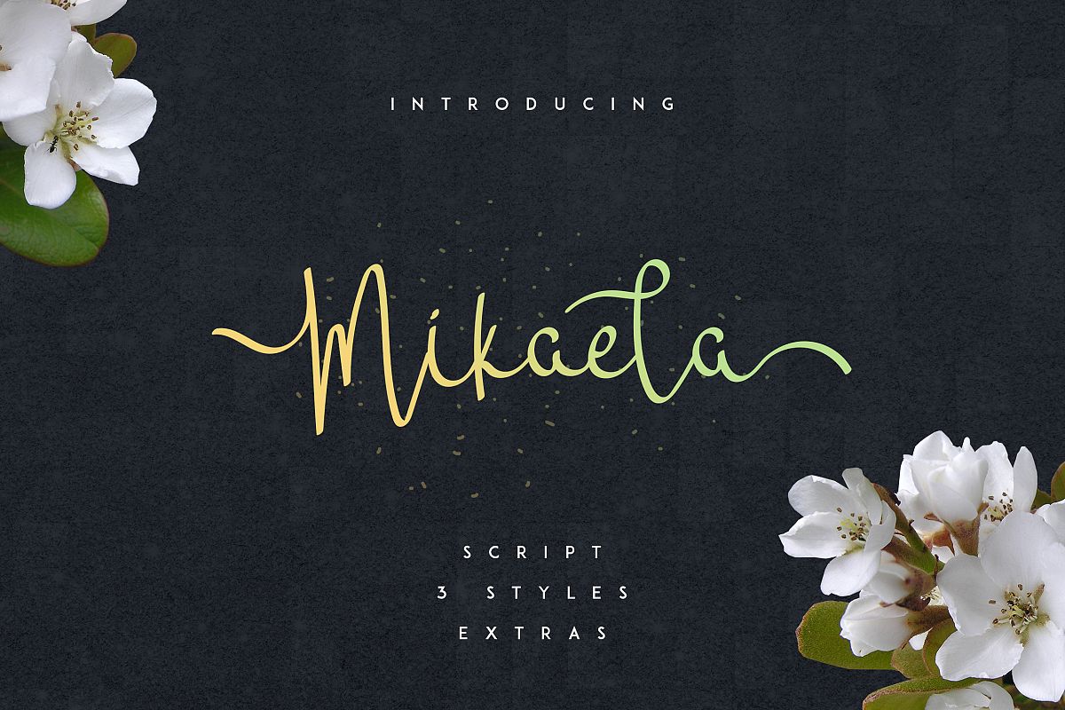 Mikaela script by Vladfedotovv | Font Bundles